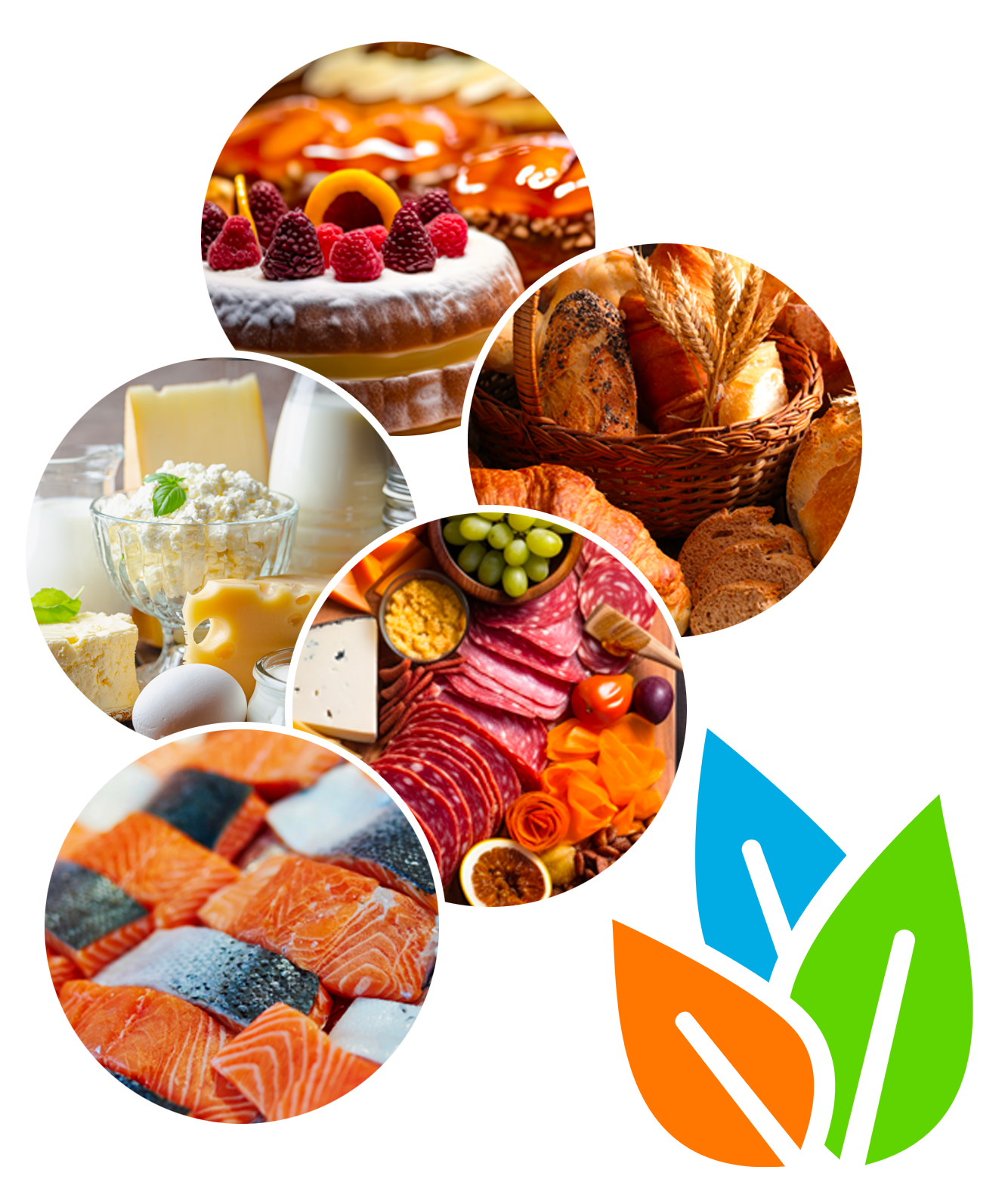 Epic Sales Partners: Fresh Food Catalysts